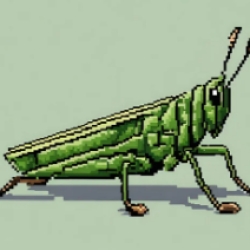 Resite.link - grassshoppergirl