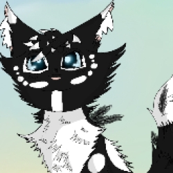 Resite.link - Eclipsefeather